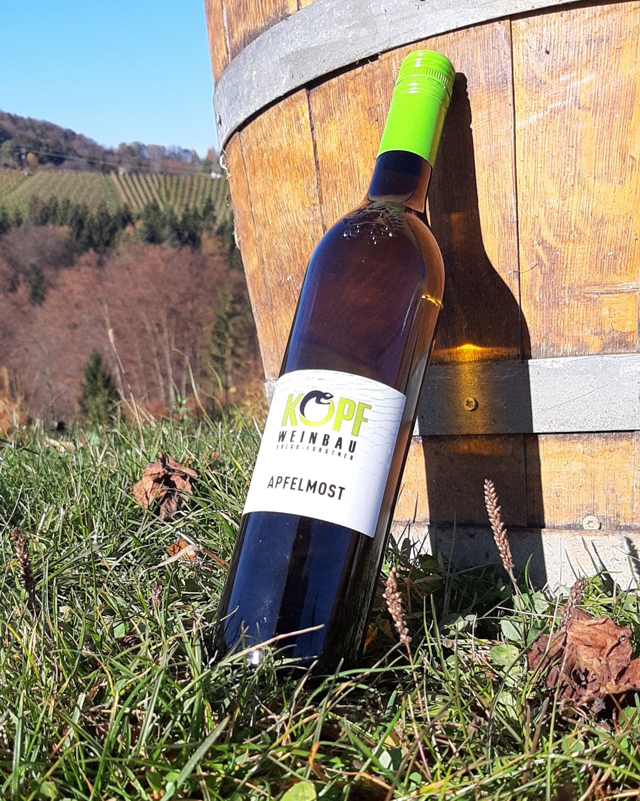 Apfelmost 0,75L Weingut Kopf vlg. Forstner - steiramarkt.at